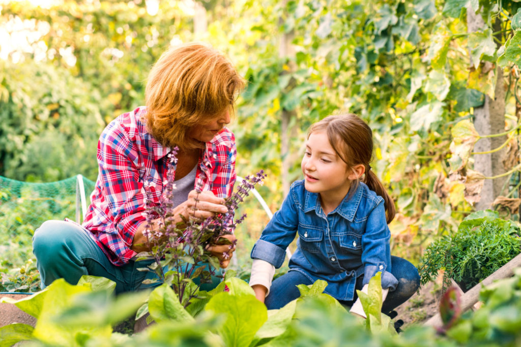 5 Tips for Designing a Delightful Spring Garden
